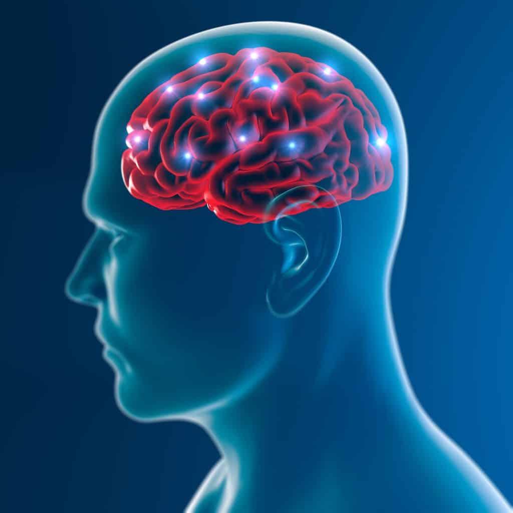 Alzheimerin tauti ja taudin ensioireet - Suomen Seniorihoiva